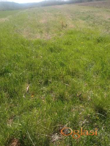 Kusovac kod Knića, poljoprivredno zemljište 3230 m2