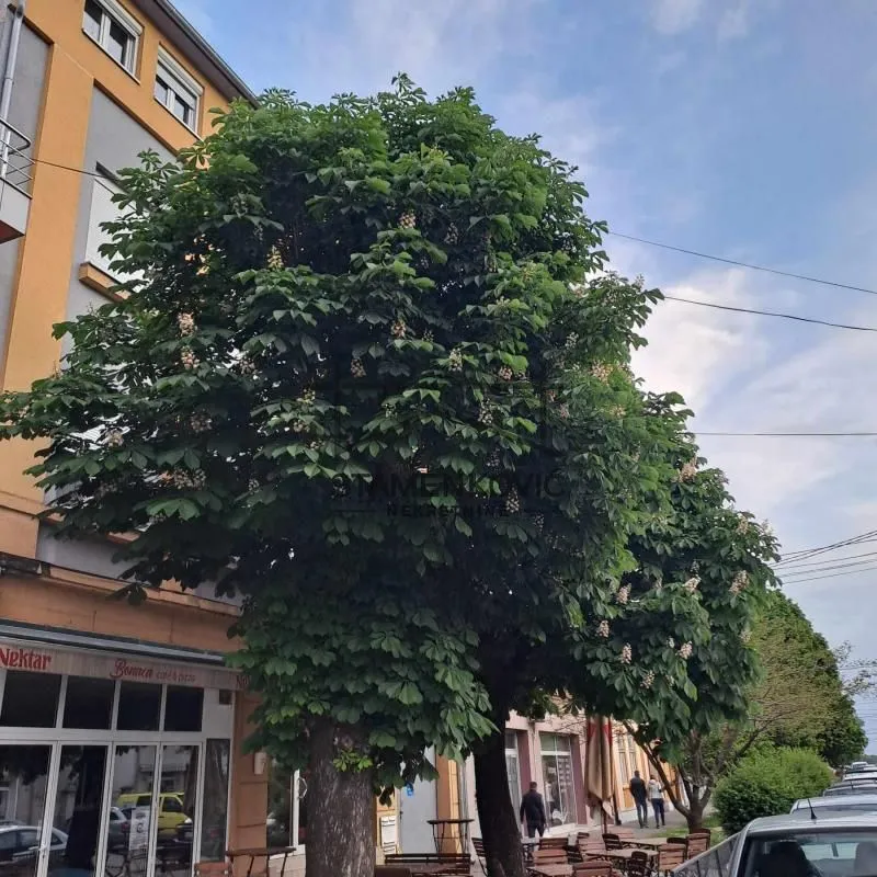 Prodaja, jednosoban stan, 40m2, Šid