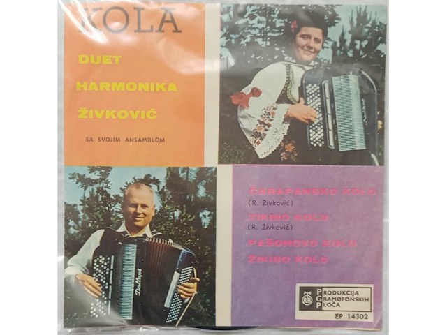 DUET  HARMONIKA  ZIVKOVIC - Carapansko kolo