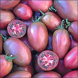 Paradajz Ruski duguljasti lilavi (25 semenki) plodove do 100gr.