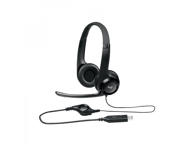 Slušalice LOGITECH H390 žične/USB/noise canceling mic/1,9m/crna