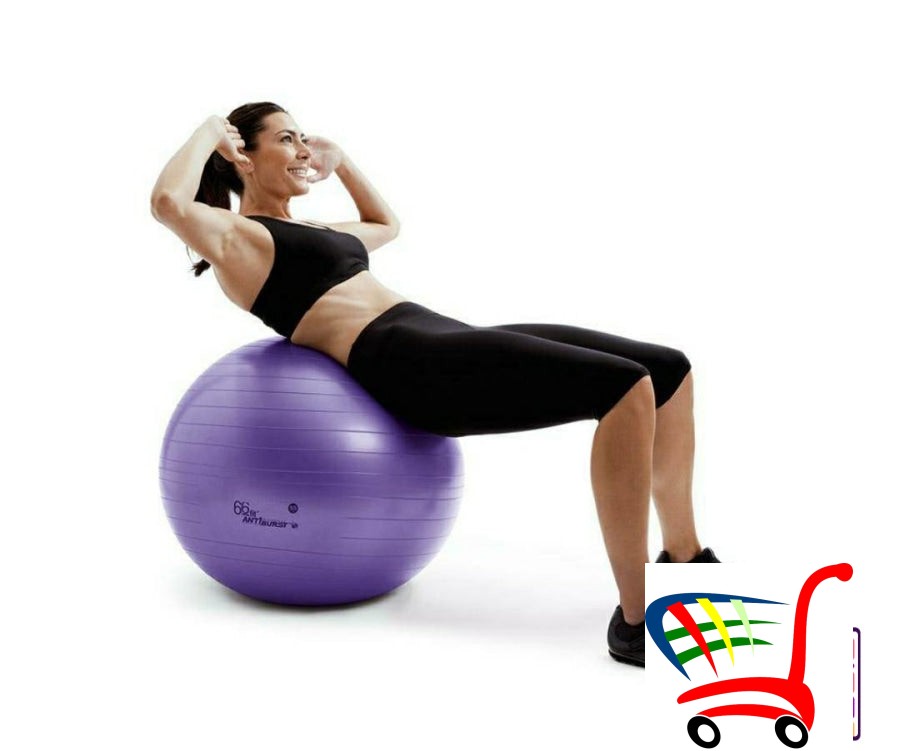 Fitness lopta za vežbanje – 65cm – gym ball – Fitness lopta za vežbanje – 65cm – gym ball