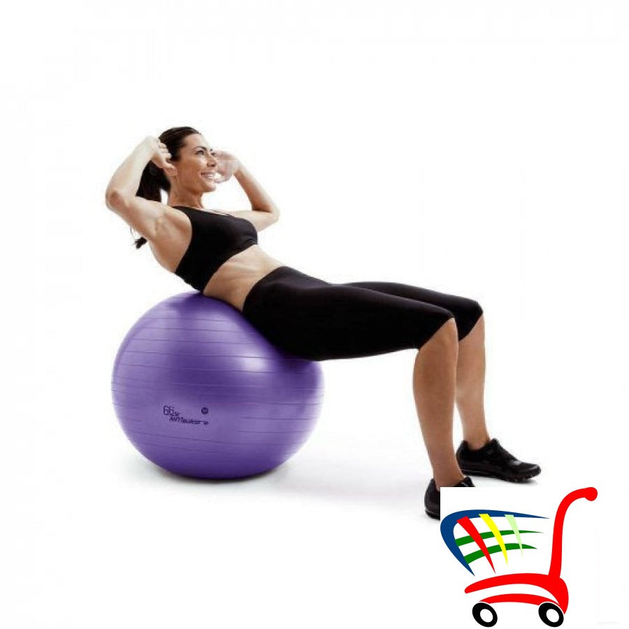 Flexi gym ball 65cm – Flexi gym ball 65cm