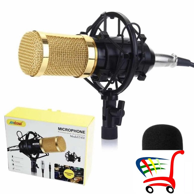 Mikrofon kodnenzator mikrofon – Mikrofon kodnenzator mikrofon