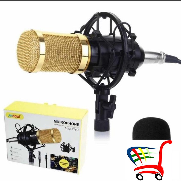 Mikrofon kondenzator – Mikrofon kondenzator