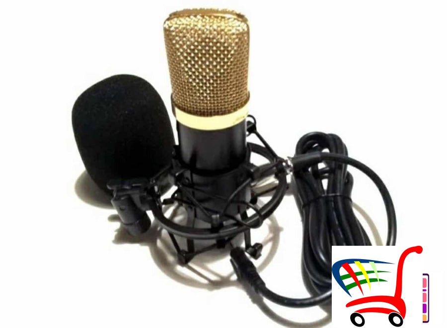 mikrofon studijski – BM – 700 kondenser microphone – mikrofon studijski – BM – 700 kondenser microphone