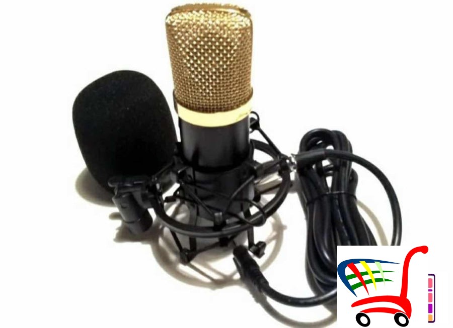 Studijski mikrofon – BM -700 – condenser microphone – Studijski mikrofon – BM -700 – condenser microphone
