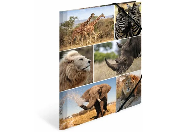 Herma Fascikla plastificirana sa gumicom Africa animals 240x320x15mm