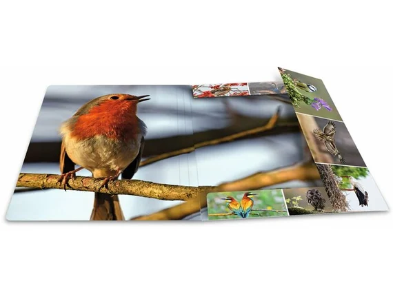 Herma Fascikla plastificirana sa gumicom Birds 240x320x15mm