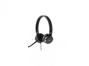 LENOVO Slušalice 100 Stereo USB, pasive noise cancellation, crne (4XD0X88524)