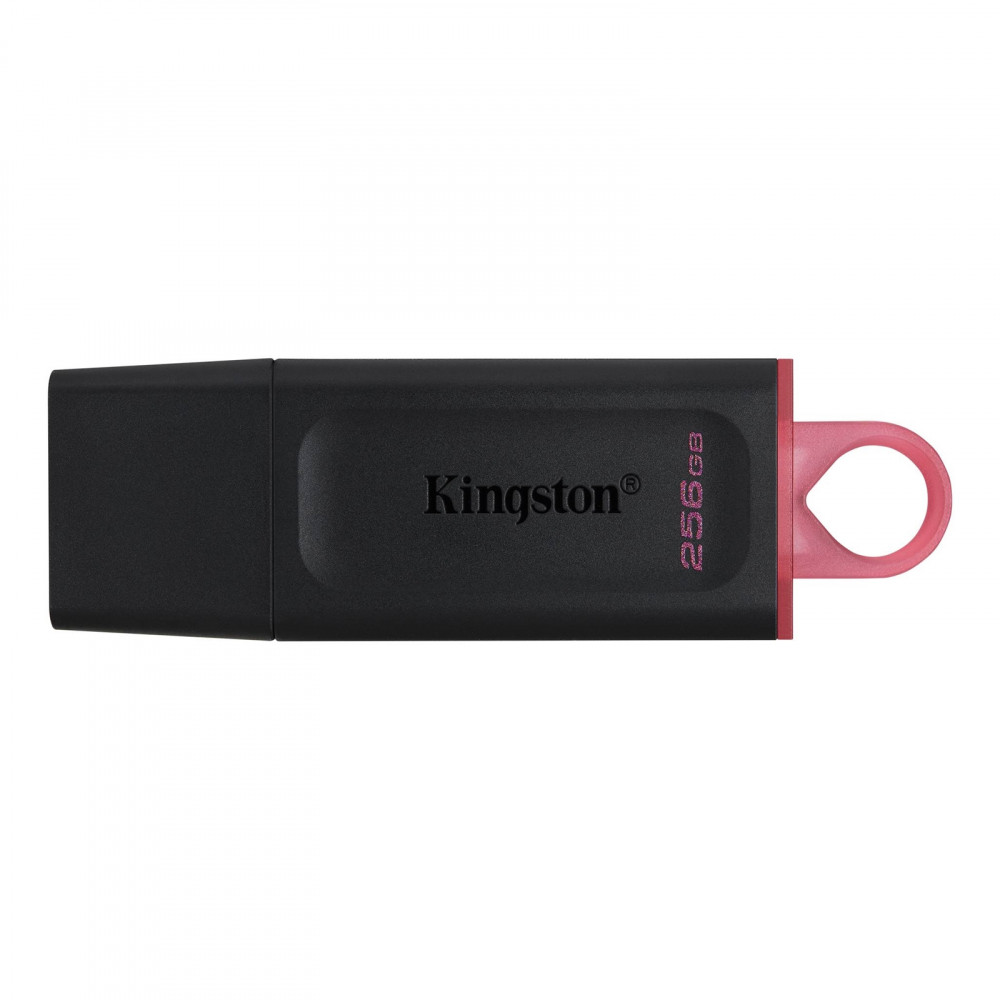 KINGSTON USB Flash 256GB DTX/256GB USB 3.2 *I