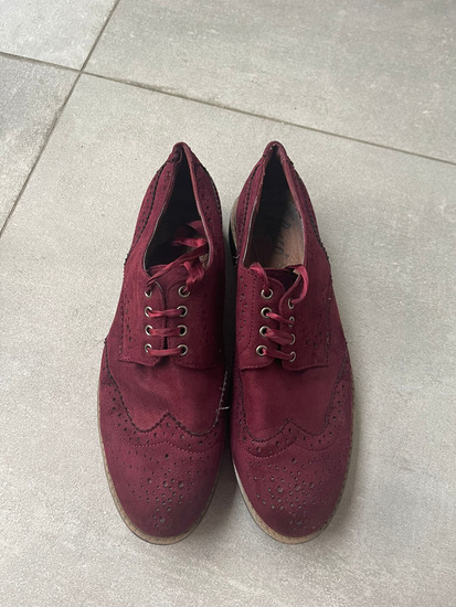 Bordo oxfordice