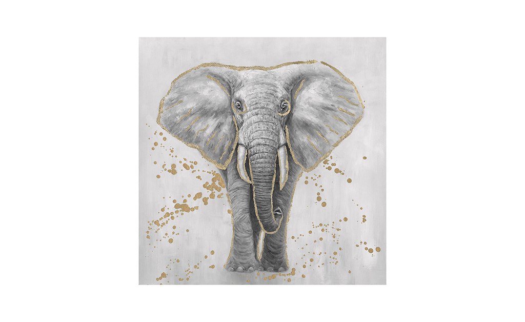 Slika sa ramom Gray elephant 100x100 cm