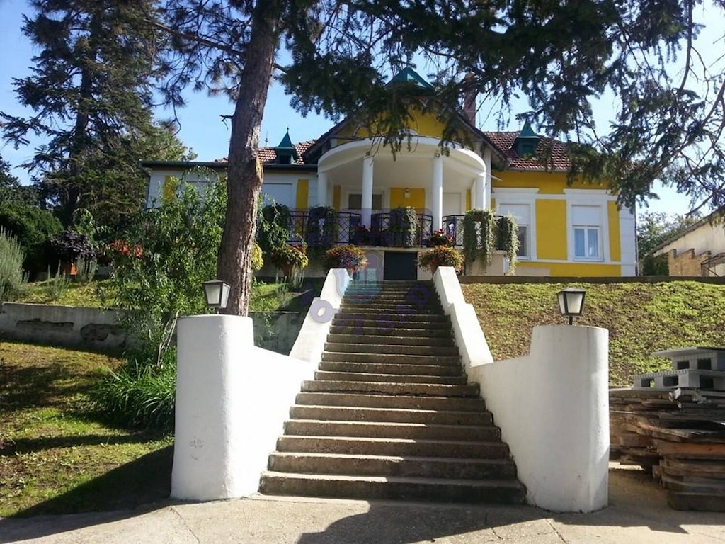 Sremska Kamenica,kuća,187m2