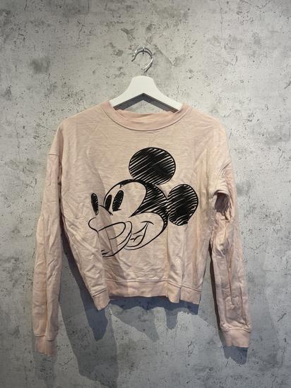 Tanak Micky Mouse duks