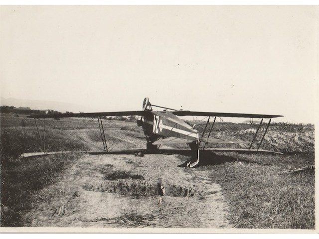 Novi Sad - Avion / udes / 1929