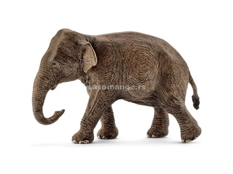 SCHLEICH 14753 Wild Life Asian elefánttehén