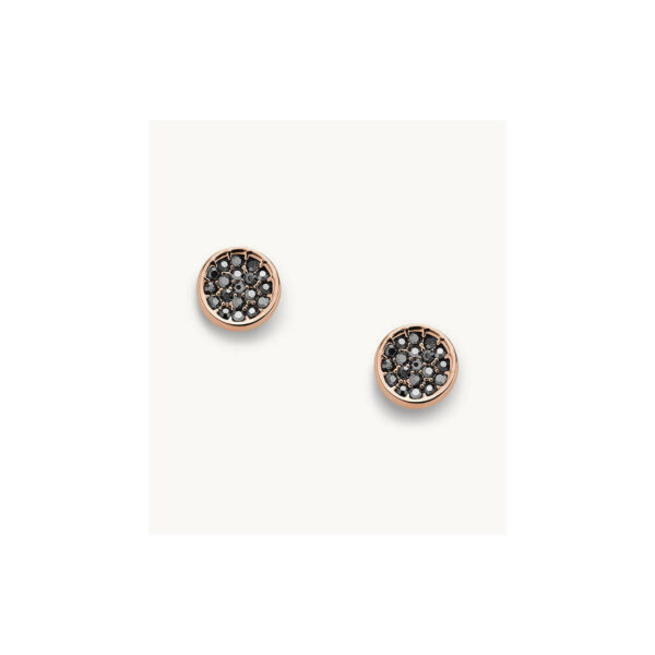 Fossil JOA00530791