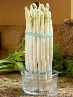 Špargla bela - Asparagus White (50 semenki)