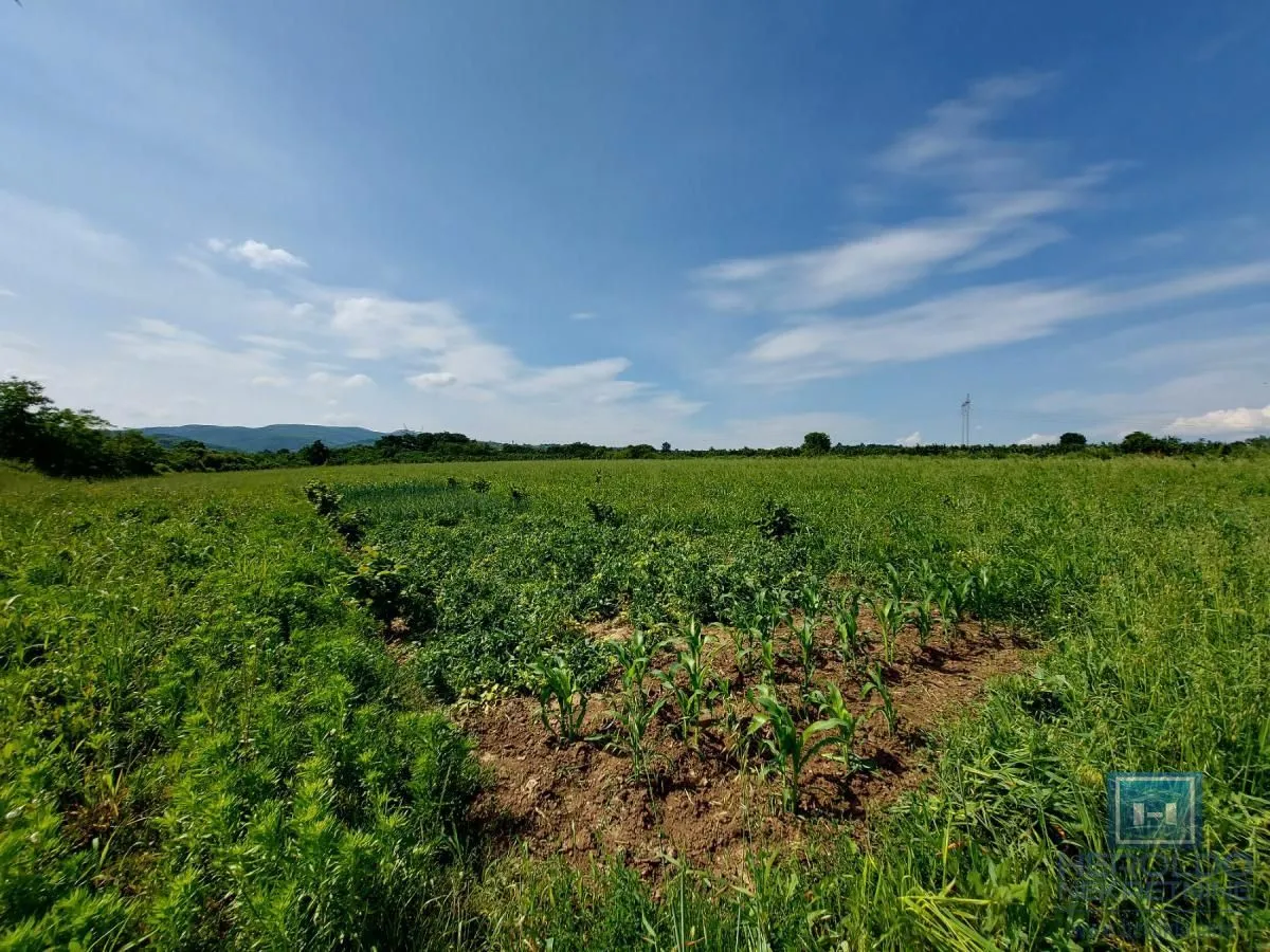 Prodaja, zemljište, 88m2, Jagodina