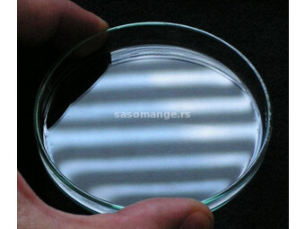 Lacerta petrijeva šolja 60mm ( Petri060 )