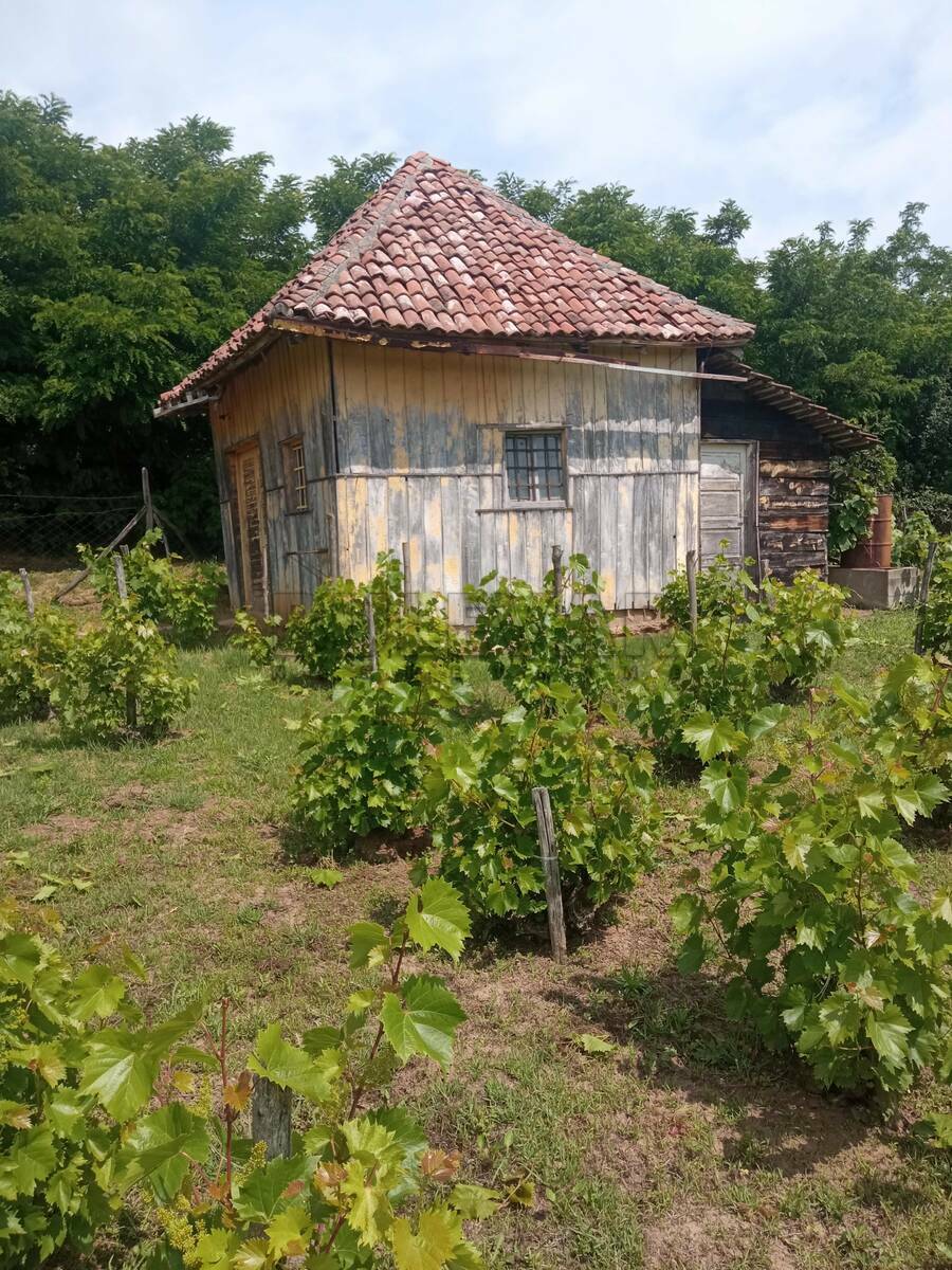 Poljoprivredno zemljište - Lapovo, vinograd sa vikendicom, površina 2587 m2
