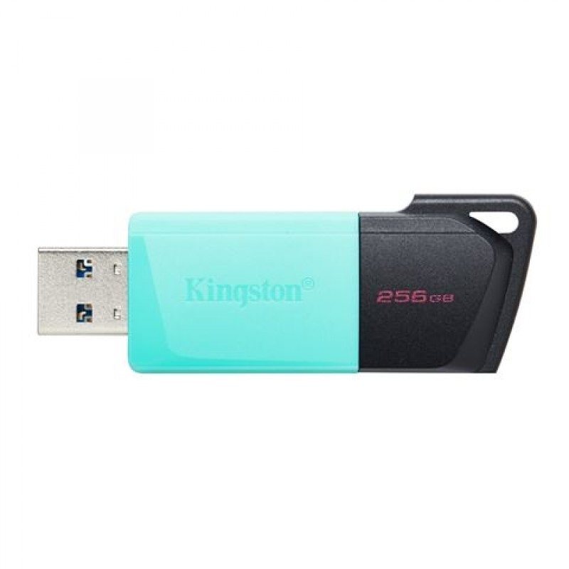 USB FD.256GB KINGSTON DTXM 256GB