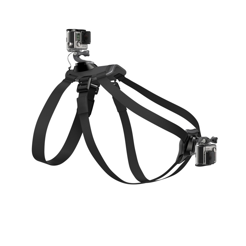 GoPro Fetch (Dog Harness)