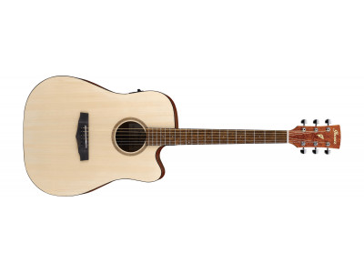 Ibanez PF10CE-OPN Open Pore Natural