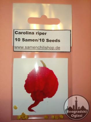 Seme najljuce chilli paprike na svetu Caroline Riper