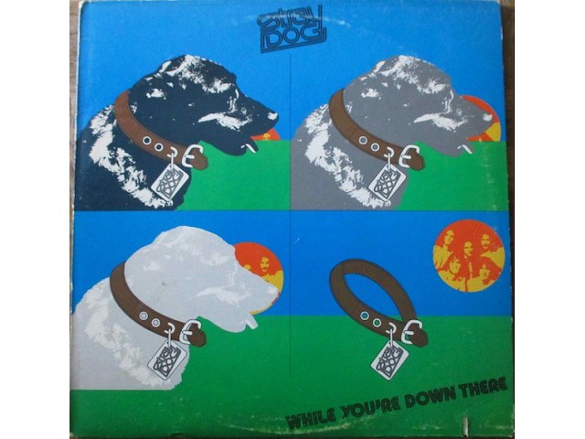 Stray Dog-While You re Down There US LP (1974)