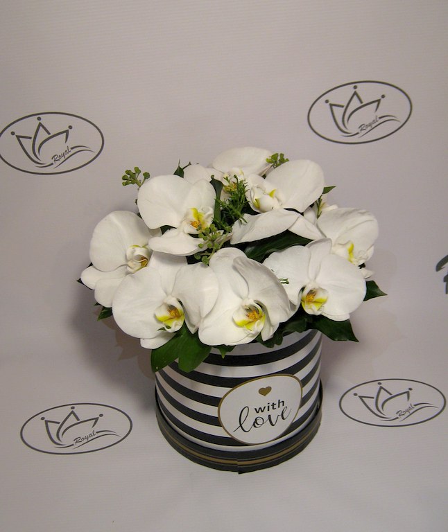 Box of flowers sa orhidejama 337