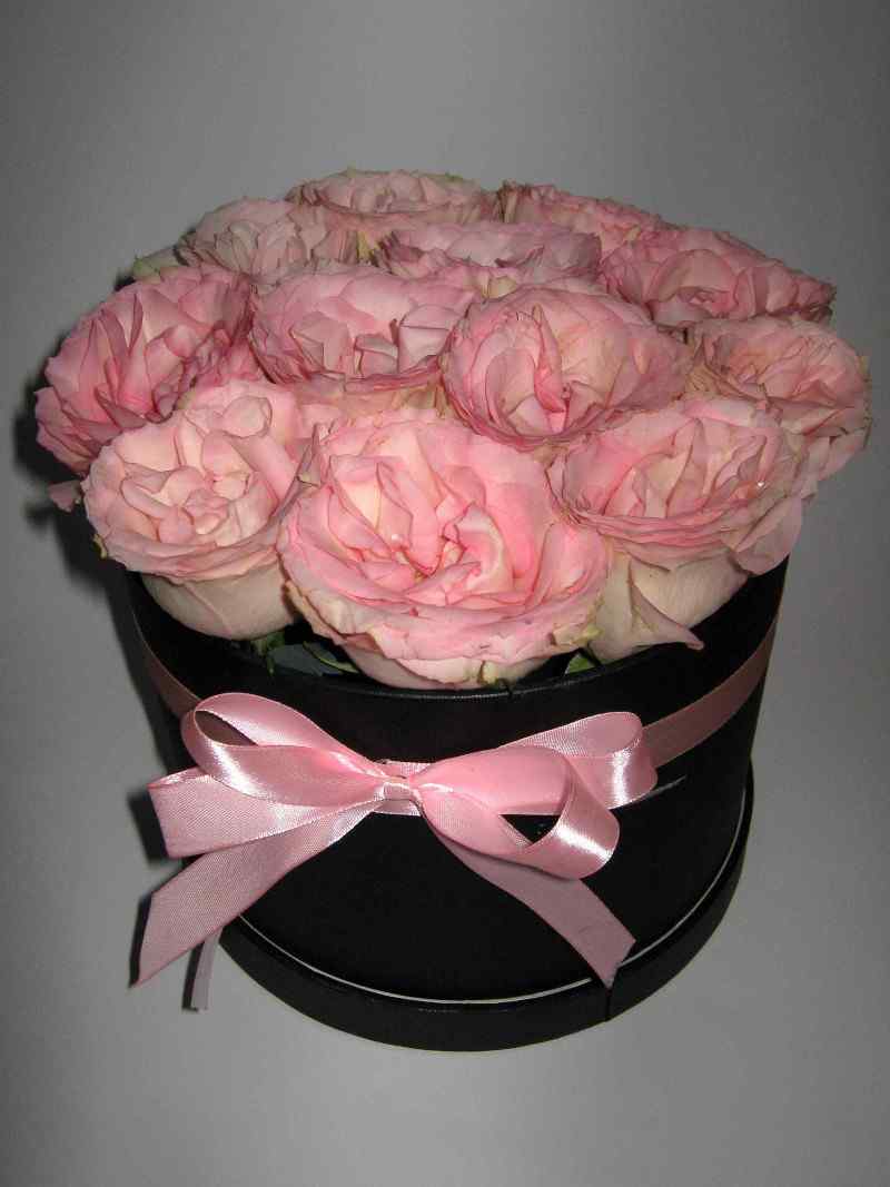 Box sa roze ružama 084