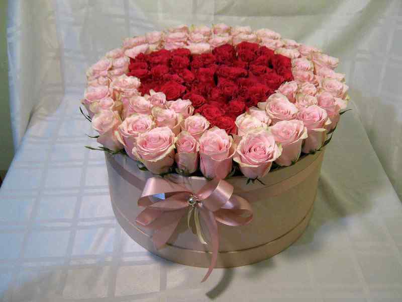 Box sa 101 roze i crvenim ružama u obliku srca 011