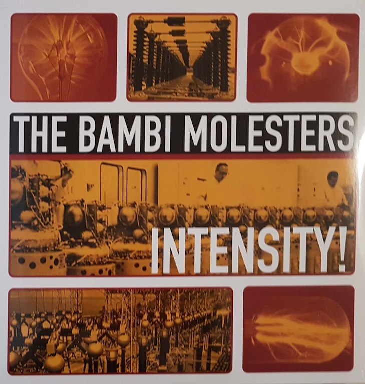 THE BAMBI MOLESTERS – INTENSITY