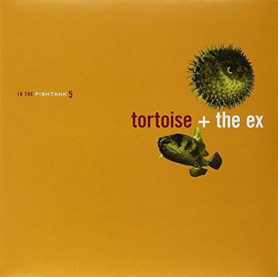 Tortoise & Ex-In The Fishtank 5
