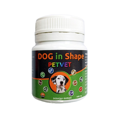 Dog In Shape 30