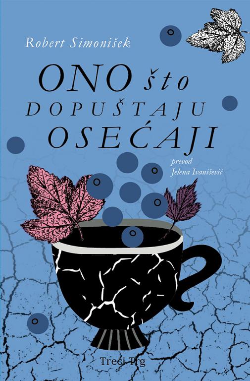 Ono što dopuštaju osećaji