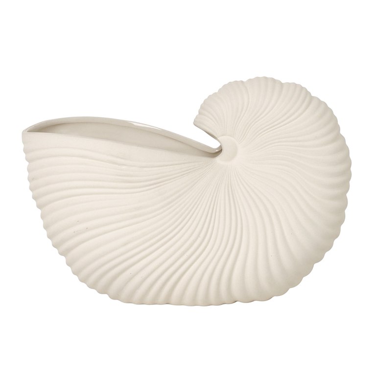 Shell saksija