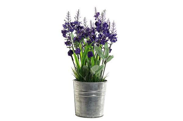 Lavanda u metalnoj saksiji 18X18X28