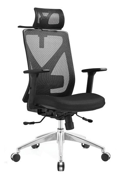 Ergonomska radna stolica RS B600