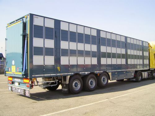 Nova Pezzaioli SBA 63 universalnyy (4 etazha) poluprikolica za prevoz stoke