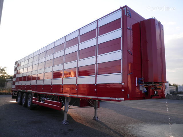 Nova Pezzaioli SBA 63 maialino (4 etazha) poluprikolica za prevoz stoke