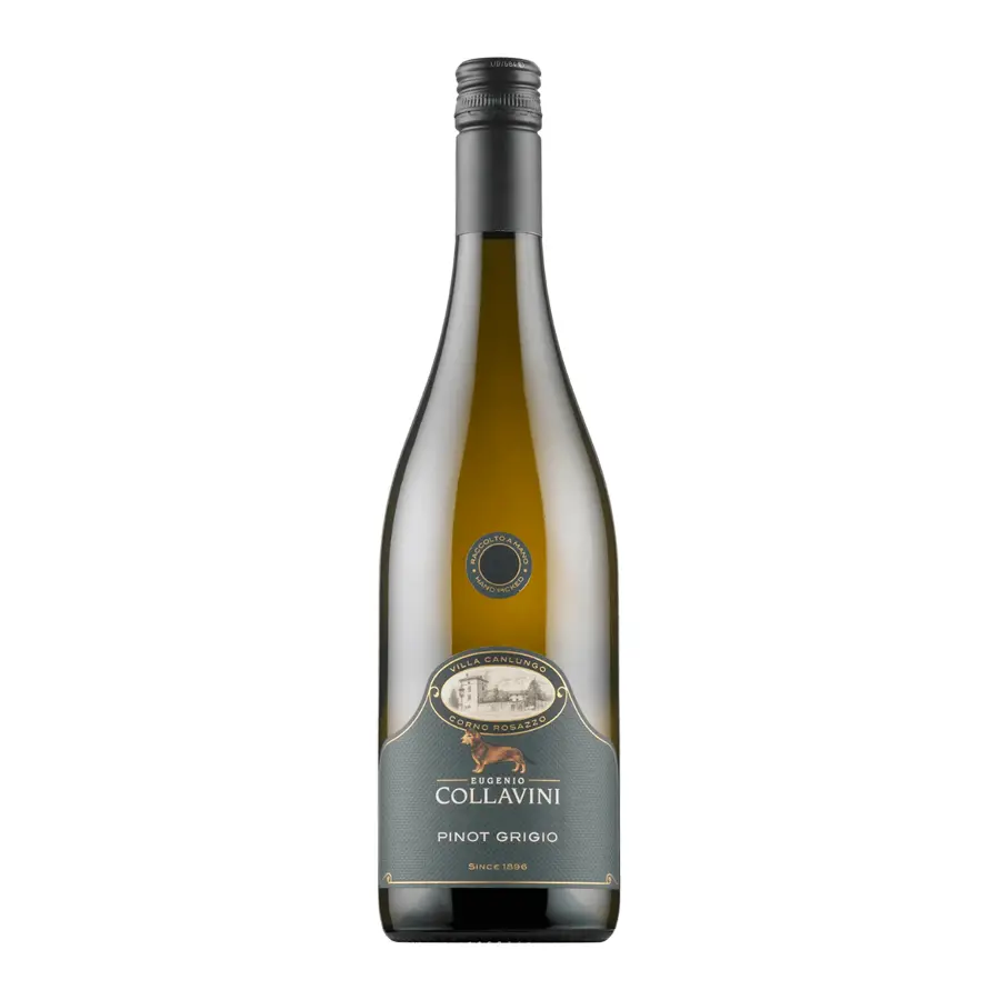 COLLAVINI Pinot Grigio Collavini doc Collio belo vino 0.75l