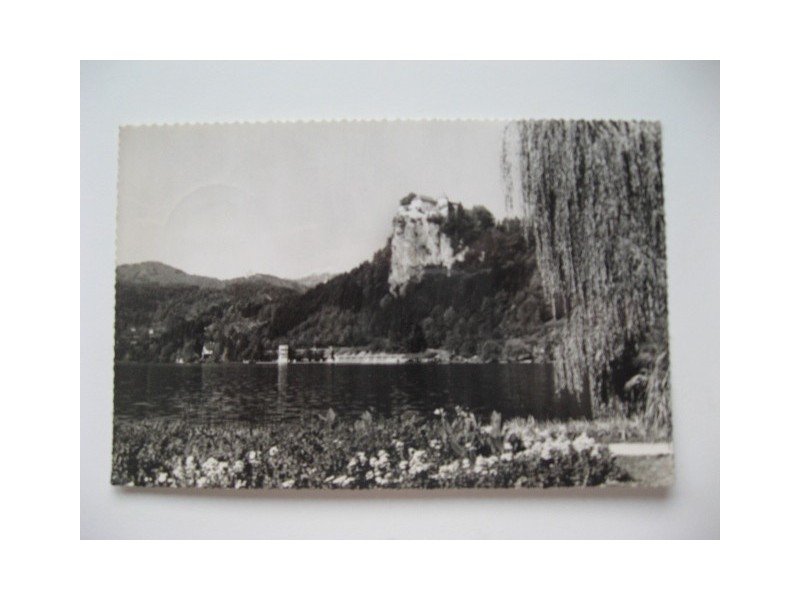 Bled