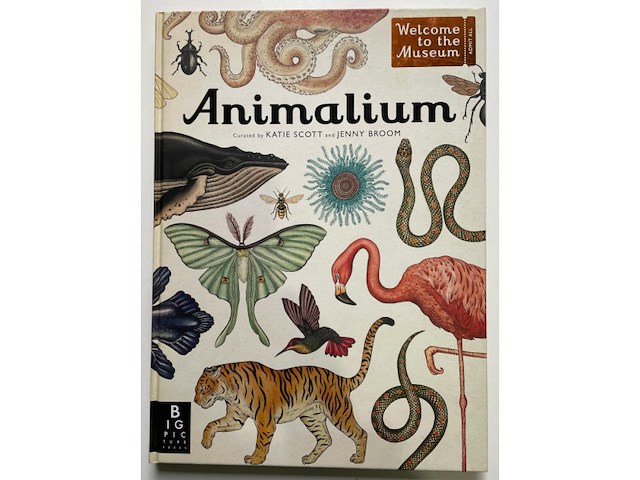 Animalium - na engleskom