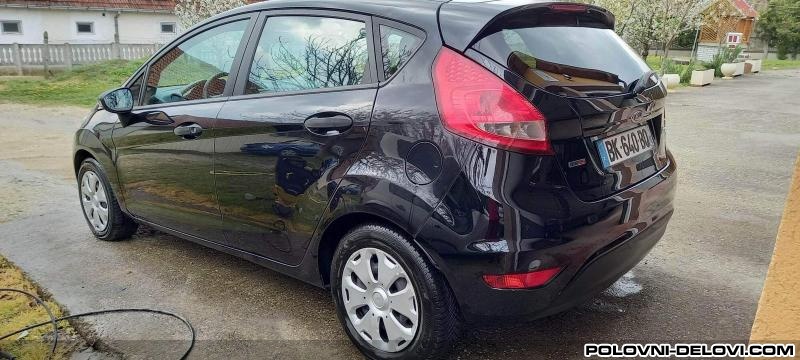 Ford Fiesta Trap I Vesanje