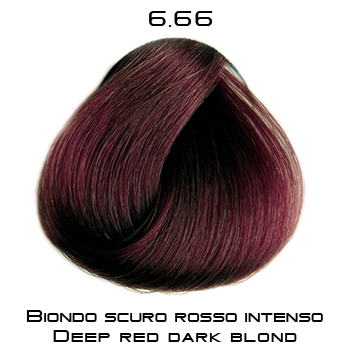 Colorevo 6.66 – Deep Red Dark Blond