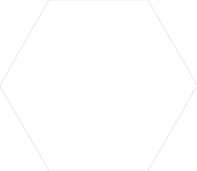 WHITE hexagon 22.5x25.9 872 D (P)