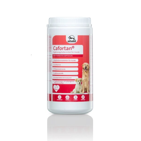 Fortan Cafortan – 1000 g